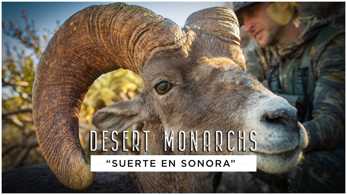 CANIS Films: Desert Monarchs "Suerte en Sonora"